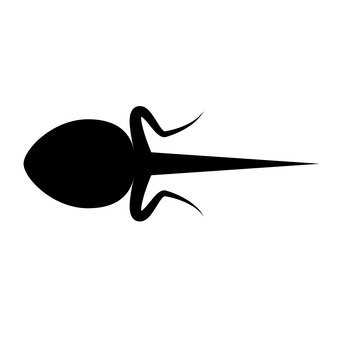 Free Silhouette Vector : Tadpole A favorite - 127267 | silhouetteAC